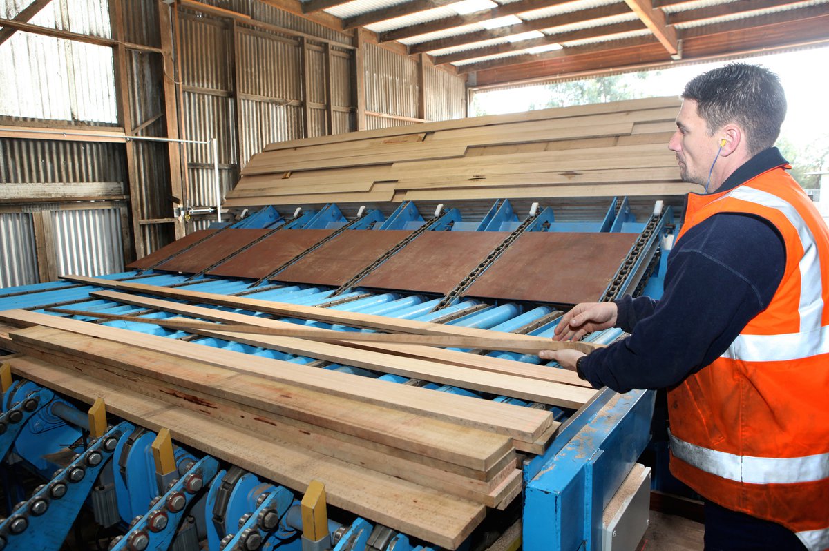 BT Tasmanian Dry Mill Upgrade - Britton Timbers